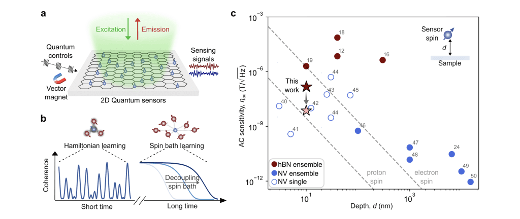 2D Material Achieves Breakthrough Quantum Sensing Sensitivity