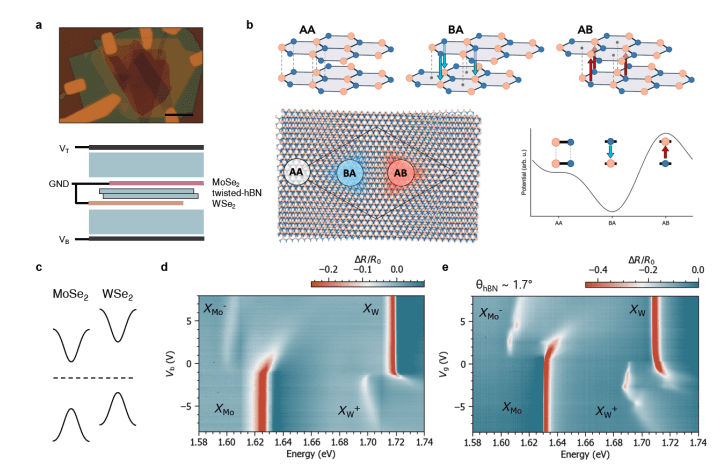 Perfectly Aligned Dual Moiré System Enables Exploration Of Strongly ...