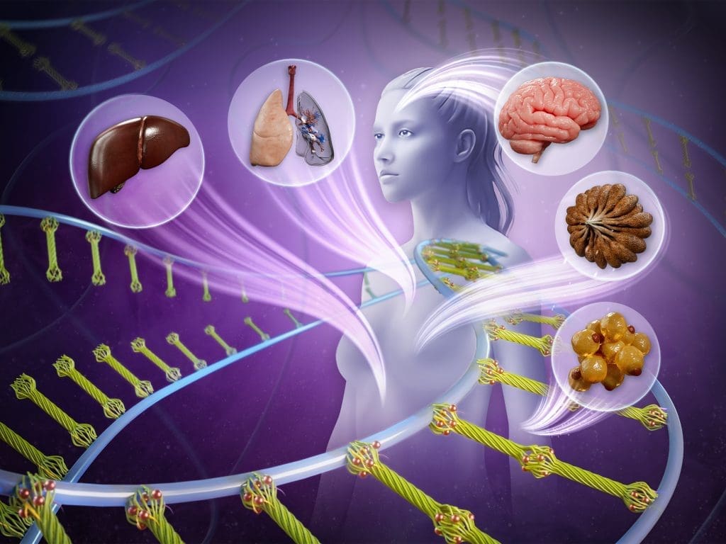 Penn State Develops Living Biomaterial For Regenerative Medicine