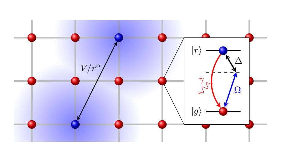 Tensor Networks Efficiently Simulate 2D Quantum Systems With Long-Range Interactions And Dissipation