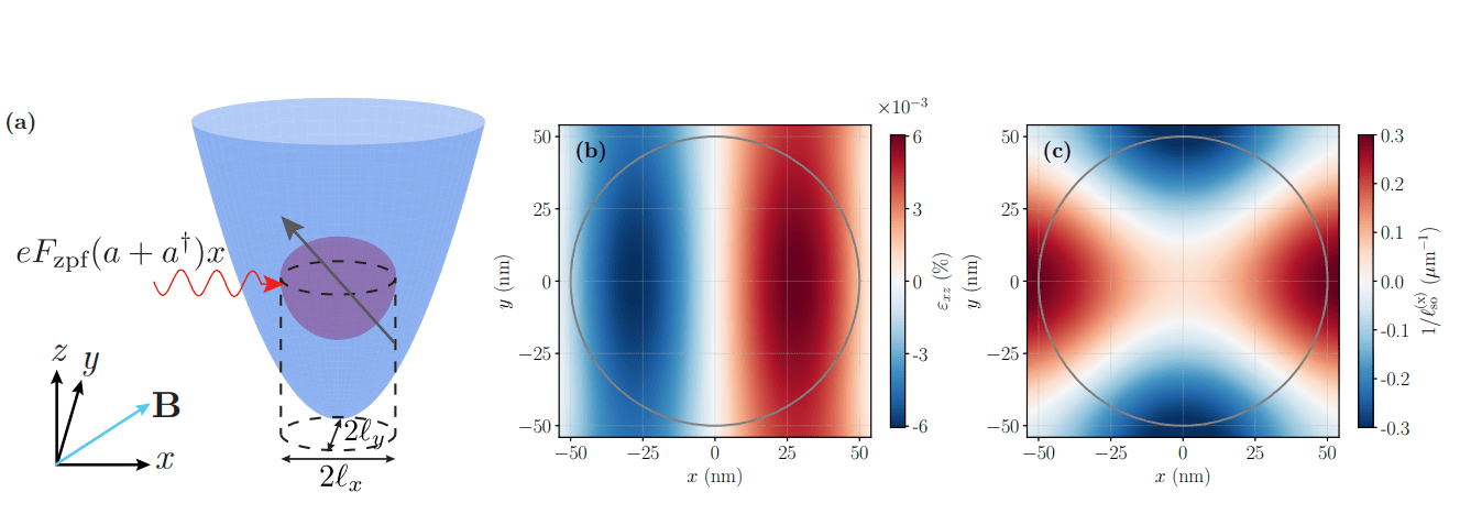 Switchable Spin-photon Coupling With Hole Spins In Single Quantum Dots ...