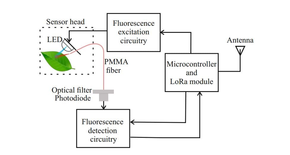 Low-cost PAM Chlorophyll Fluorometer Achieves 0.9 Correlation With ...