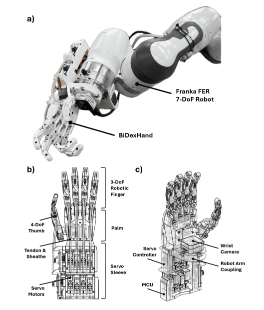Introducing BiDexHand: A Biomimetic Robotic Hand Achieving Human-Level ...