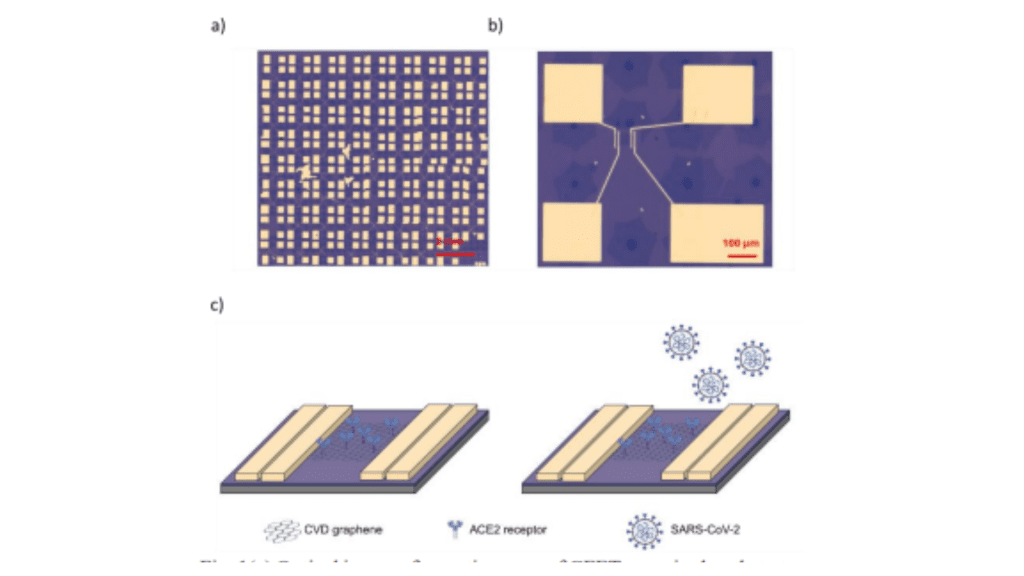 Scalable Graphene Field-Effect Transistors Detect