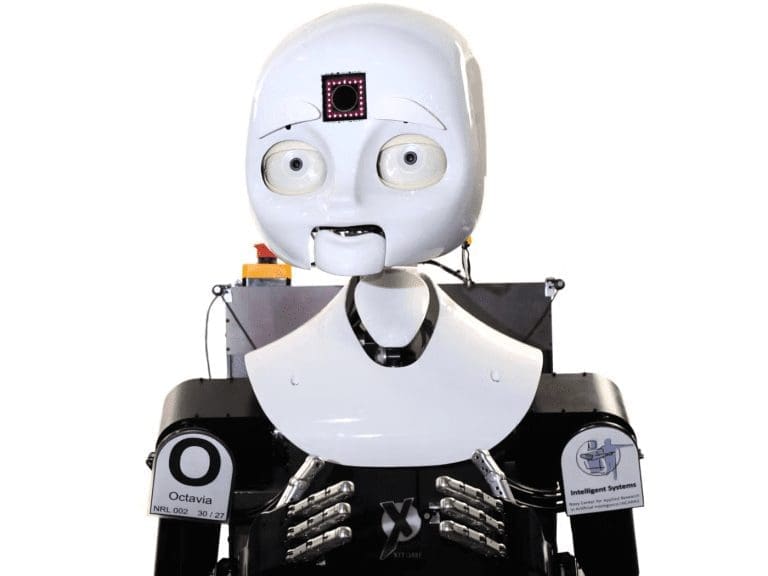 15 Of The World's Strangest Robots