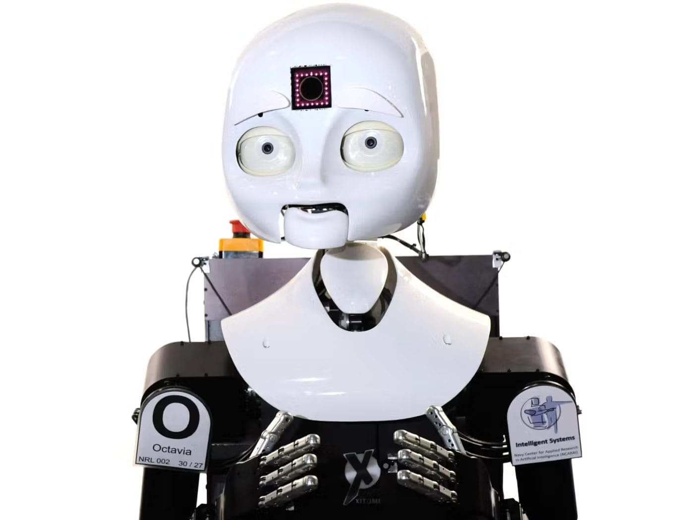 15 Of The World's Strangest Robots
