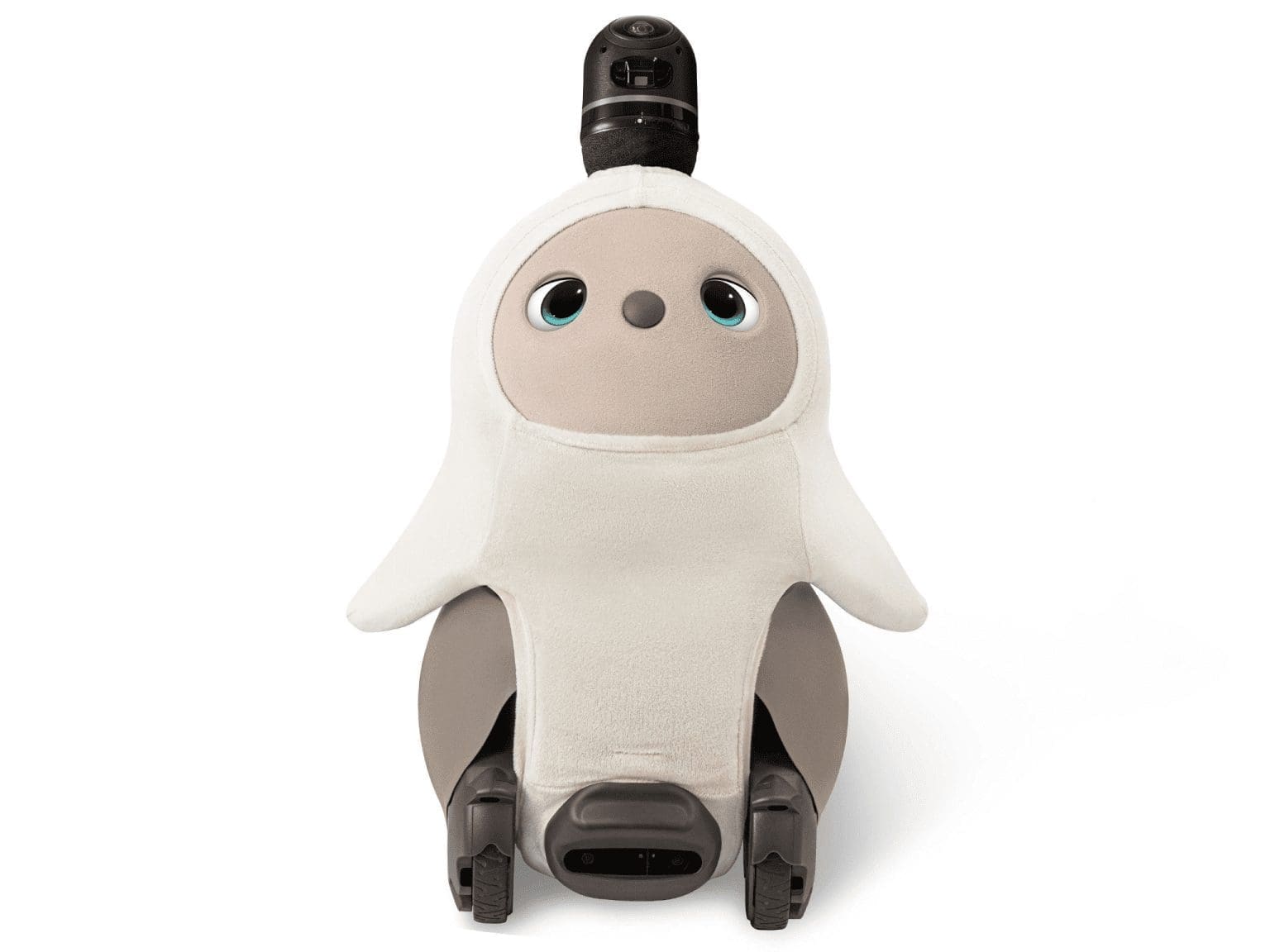 15 Of The World's Strangest Robots