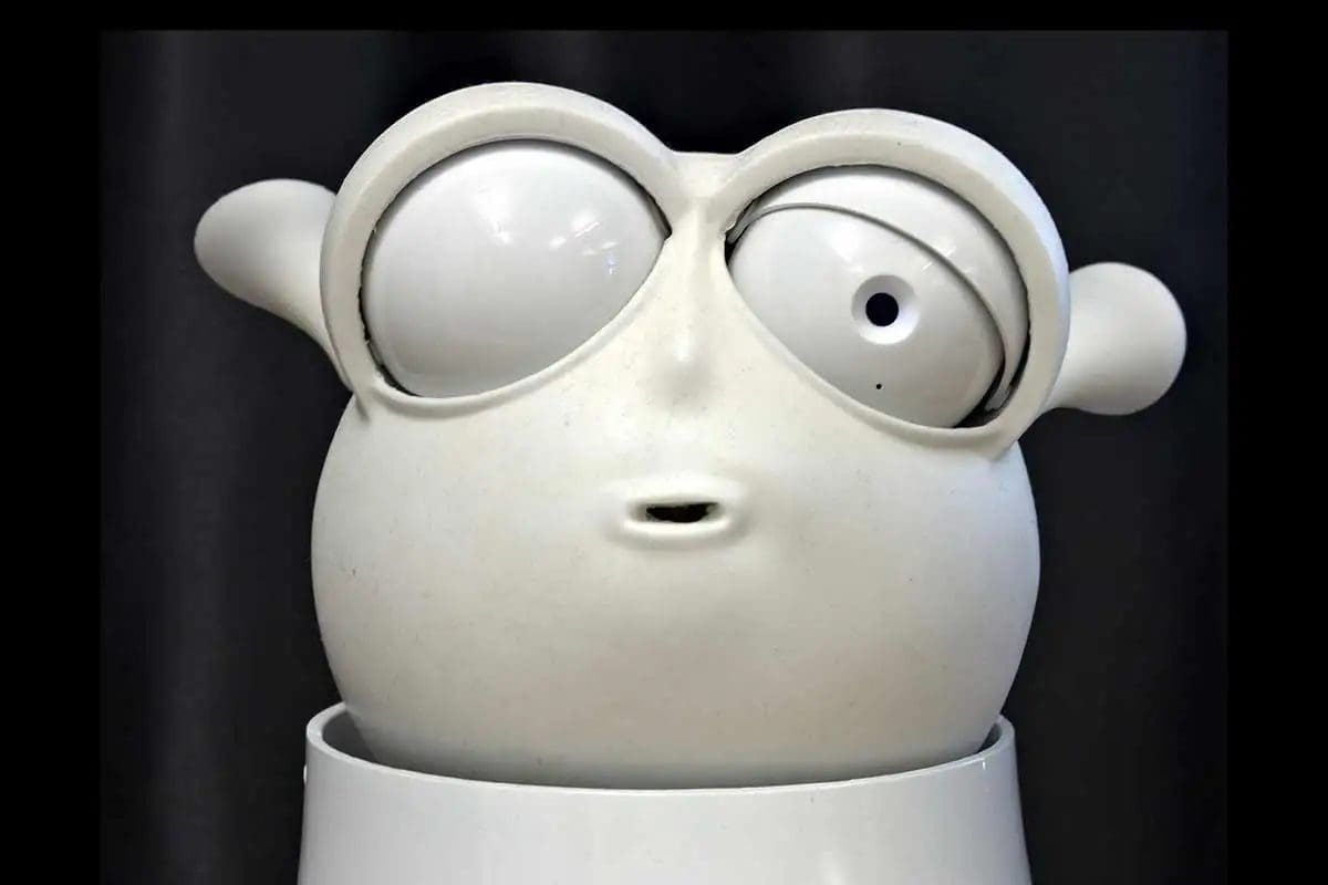 15 Of The World's Strangest Robots