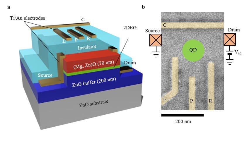 Researchers Create Electrically Defined Quantum Dots In Zinc Oxide